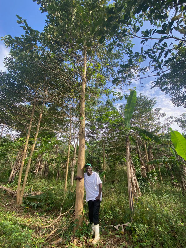December 2023 Collaborator: Care of Creation • Wheaton Franciscans